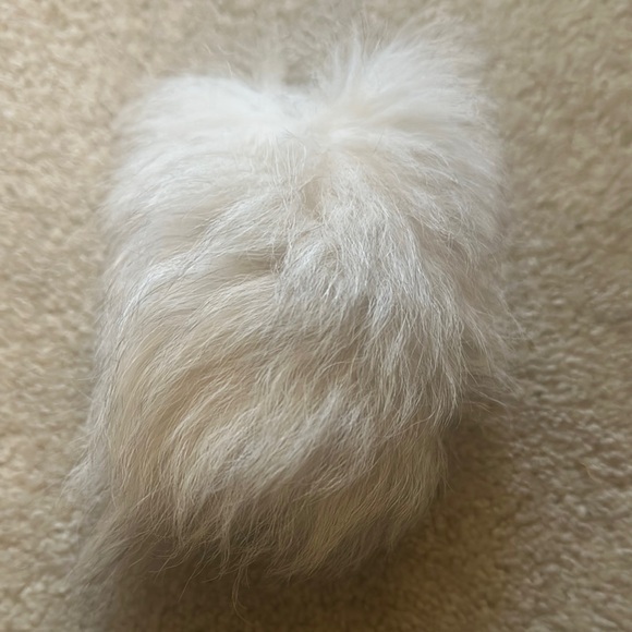 Accessories | Fluffy White Real Fox Tail | Poshmark